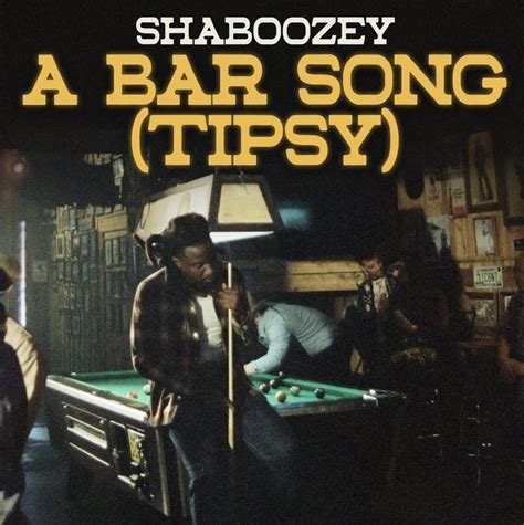 Shaboozey: A Bar Song (Tipsy) (Visualizer) (2024)