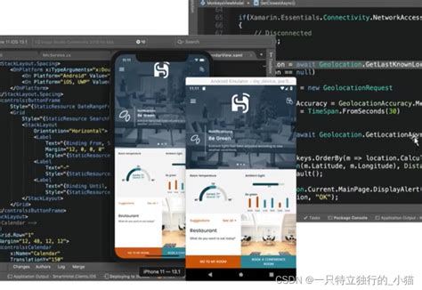1c与net简介学c和net Csdn博客