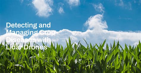 Detecting And Managing Crop Diseases With Lidar Drones