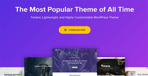 6 Curated Best Wordpress Themes For Elementor Wpjunction
