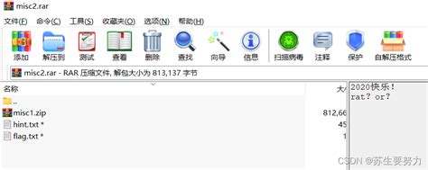 ctf show misc30 ctfshow misc30 csdn博客