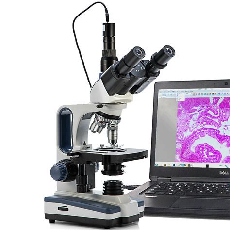 Professional Trinocular Compound Microscope With Camera Fitting