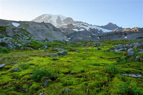 Ultimate Guide To Summerland Trail In Washington For 2022 Hiking