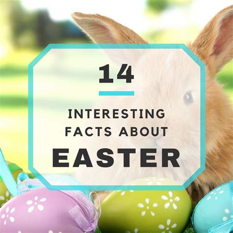 14 Interesting Easter Questions Answered