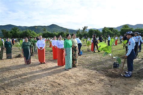 ကာကွယ်ရေးဦးစီးချုပ်ရုံး ကြည်း၊ ရေ၊ လေ မိသားစုများ၏ ၂၀၂၄ ခုနှစ် တတိယအကြိမ် မိုးရာသီသစ်ပင်စိုက်ပ