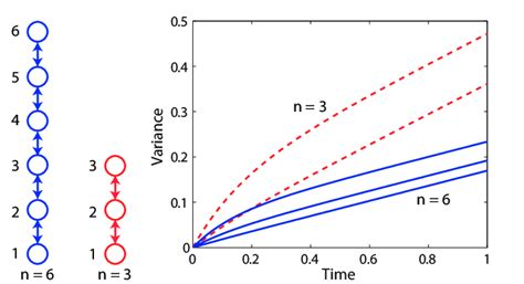 Diagonal Elements Of The Covariance Matrix For The Undirected Path Download Scientific Diagram