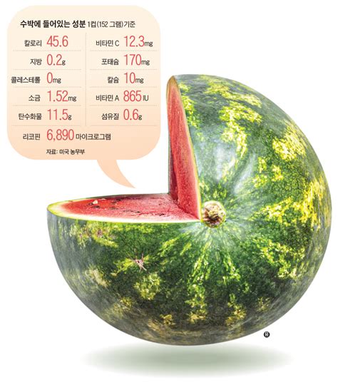 수박 칼로리는 얼마일까 여름철 다이어트에 좋은 수박의 영양 정보