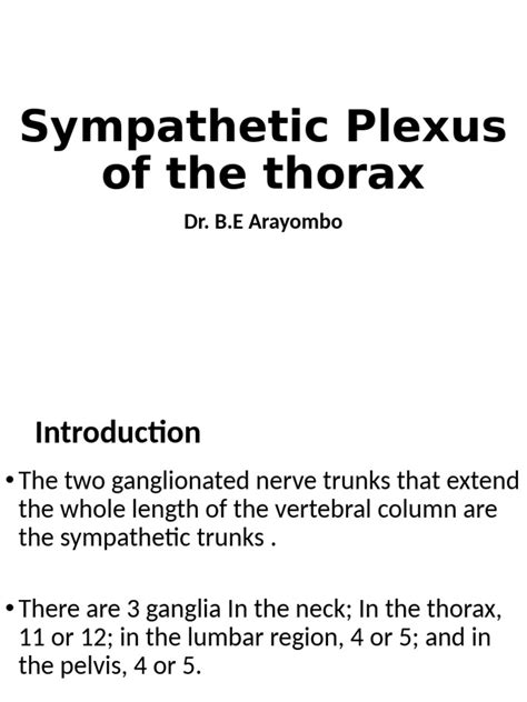 Sympathetic Plexus Pdf Vertebral Column Vertebra