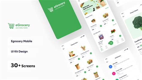 flutter animated splash and sign up screen