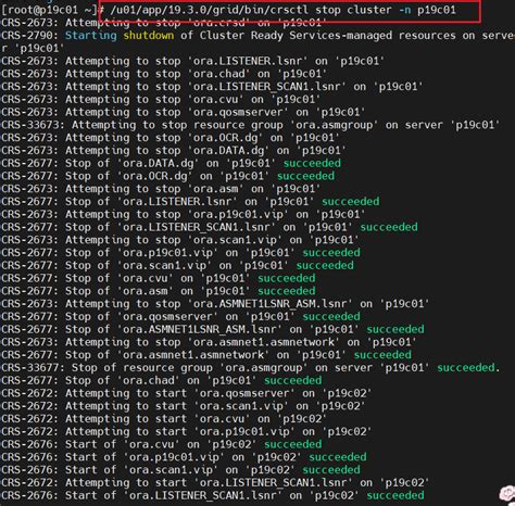 Oracle Rac集群启停 Csdn博客