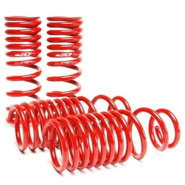 Skunk2 90 93 Acura Integra Lowering Springs 250in 225in Set Of