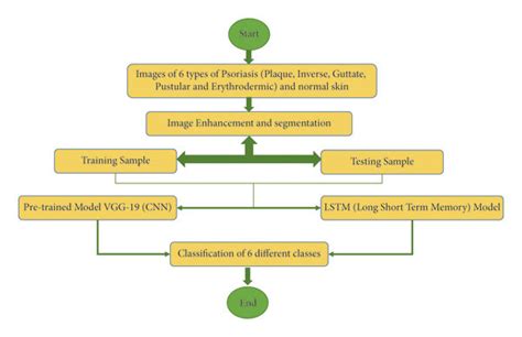 Flow Process Of The Proposed Classification Technique Download