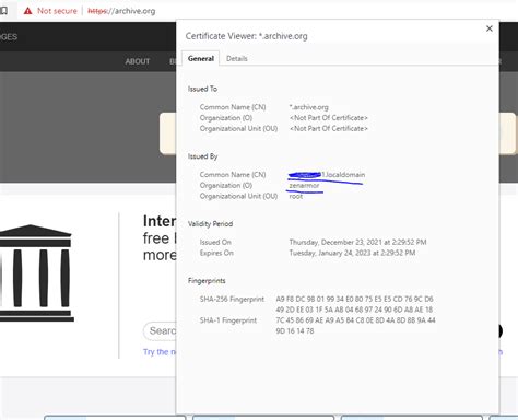 Ssl Decryption Options Zenarmor Help Center