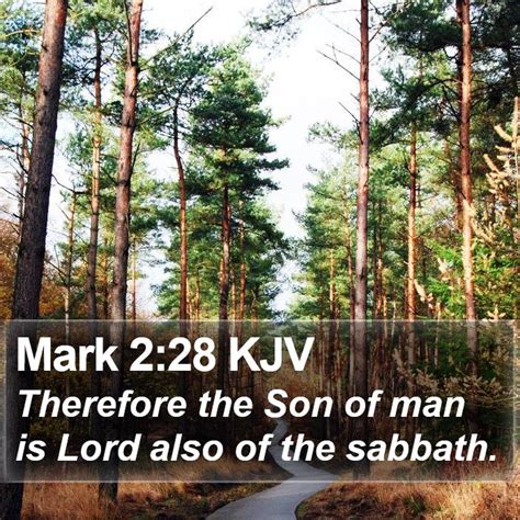 Mark 2 Scripture Images Mark Chapter 2 Kjv Bible Verse Pictures