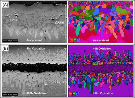 6 cross sectional bse images and ebsd euler colour maps showing the