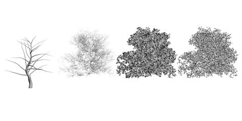 활엽수 메이플 옐로우 3d 모델 39 Max Free3d