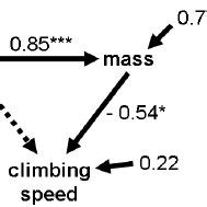 Path Analysis Showing The Direct And Indirect Relationship Of Spider Download Scientific
