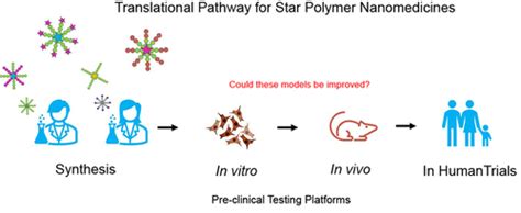 Star Polymer Nanomedicines─challenges And Future Perspectives Acs