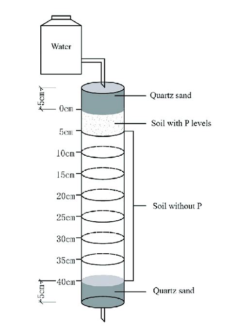 Schematic Diagram Of Soil Column Download Scientific Diagram
