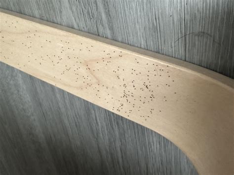 Curious If This Is An Insect Egg I Live In Southern California And Found These All Over My