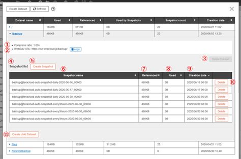 How Do I Use Dataset Editor？ Infinicloud All In One Cloud Storage Get 20gb Free