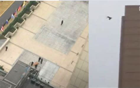 La Joven Del Sheraton Se Subi Hasta El Piso Del Hotel Trep Un Muro Y Se Lanz Ante La