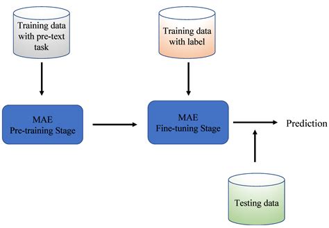 Self Supervised Learning Application On COVID Chest X Ray Image