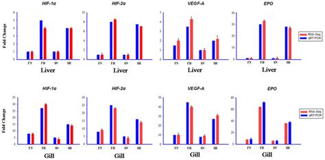 Validation Of Rna Seq Data By Using Quantitative Real Time Polymerase