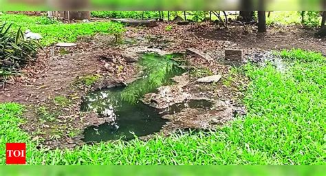 Sewage Overflow Sewage Overflow In Town Hall Garden Raises Concerns In
