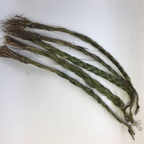 Sweetgrass Braid Dragon Herbarium