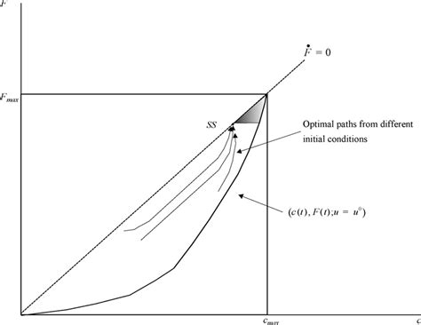 Possible Optimal Paths From Different Starting Conditions Download Scientific Diagram