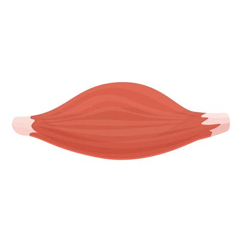 Flex Bicep Icon Cartoon Vector Strong Arm 23110963 Vector Art At Vecteezy