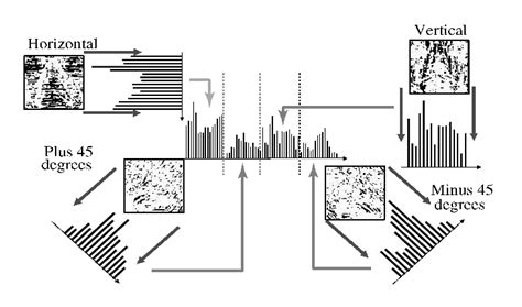 Figure 2 From An Edge Based Face Detection Algorithm Robust Against Illumination Focus And