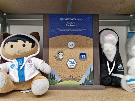 Eric Praud On Linkedin Salesforcemvp