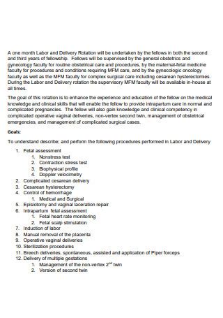 FREE Labor And Delivery Assessment Samples To Download