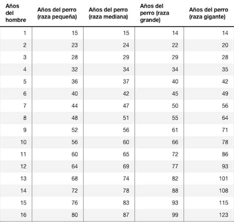 Un Año De Perro Equivale A 7 Años Humanos