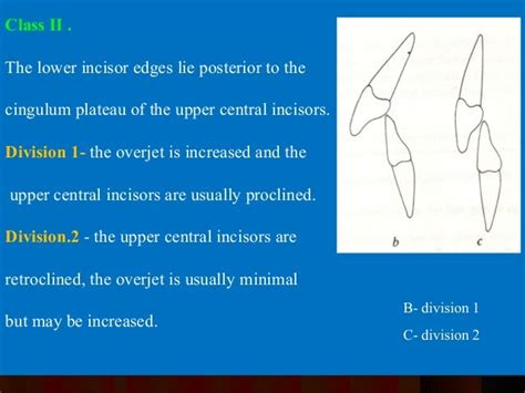 Classification Of Normal Occlusion And Malocclusion