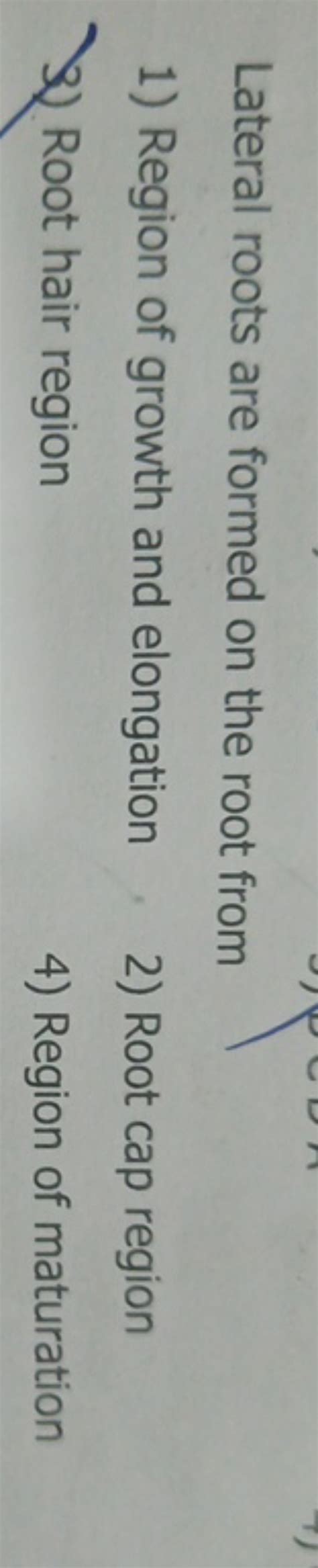 Lateral Roots Are Formed On The Root From1 Region Of Growth And Elongat