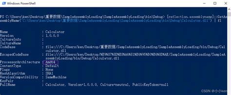 开发常见问题：如何确定程序集 即dll 是x86还是x64 确认程序集的位版本 32 位或 64 位 与运行它的进程的位版本相匹配