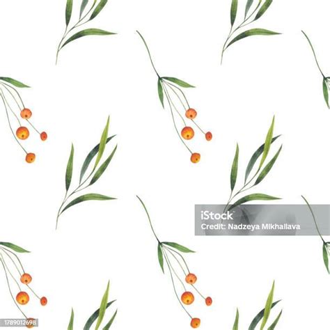 녹색 유칼립투스 가지와 바다 갈매 나무속 꽃 섬유 또는 벽지의 흰색 배경에 고립 된 수채화 인쇄 프로방스 스타일의 일러스트 레이 션과 수채화 완벽 한 패턴 0명에 대한 스톡