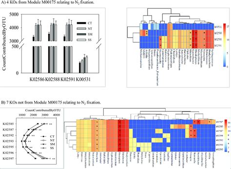 Functional Genes Affiliated With N Fixation Predicted By Picrust A