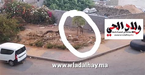 ولاد الحي Wlad Al Hay المشاكل التي تعاني منها ساكنة حي لافيليت زنقة