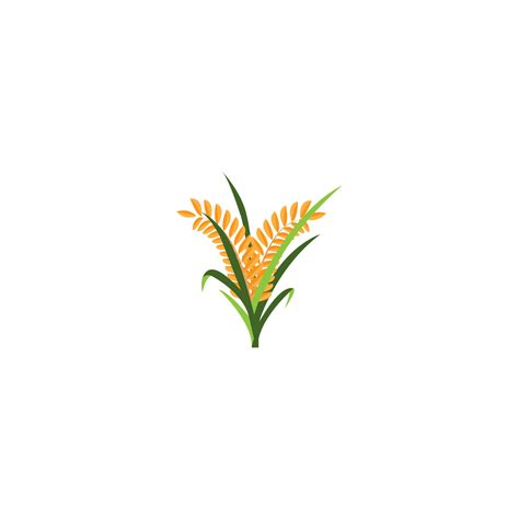 Paddy Icon Vector Illustration Template Design 10414075 Vector Art At