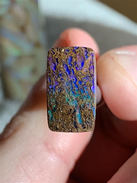 I Cut These Cabs From Opalized Dinosaur Bone 🦕 R Opals