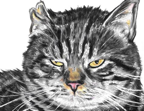 Maxwell The Cat By Ninjifurcus On Newgrounds