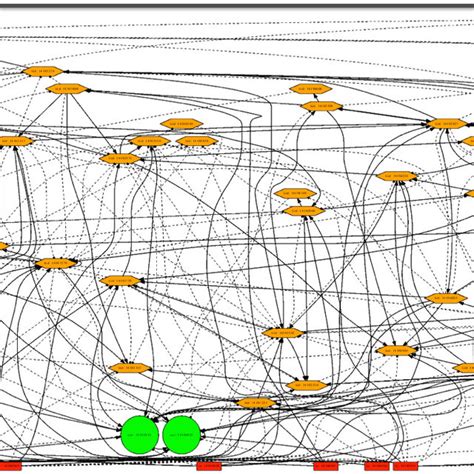 Examples Of Evolved Neural Circuits A Evolved Neural Circuit With Download Scientific
