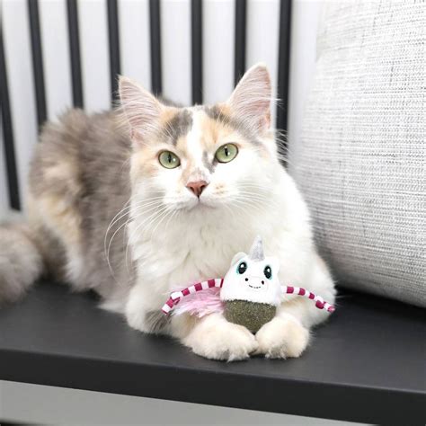 Quirky Kitty Unicorn Nipper Compressed Catnip Bobble Cat Toy 1 Ct Shipt