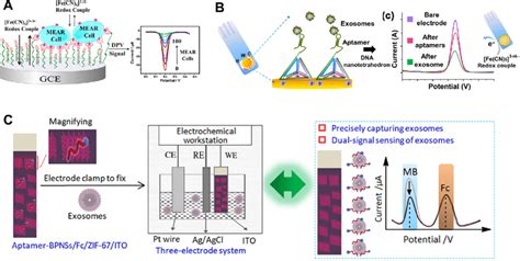 Aptamer Functionalized Electrode For Direct Detection Of Cts Via