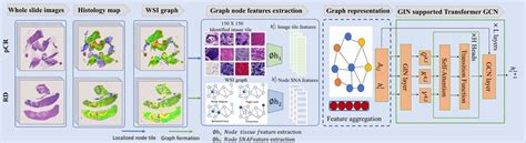 Overview Of The Nacnet Architecture Each Wsi Is Partitioned Into Download Scientific Diagram