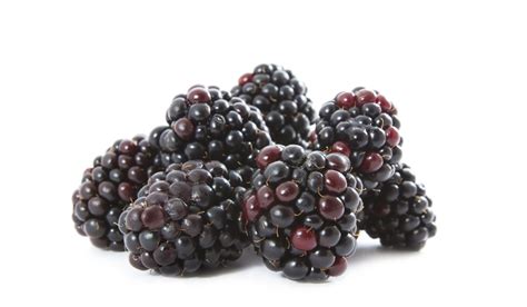 15 Types Of Purple Berries Crate And Basket